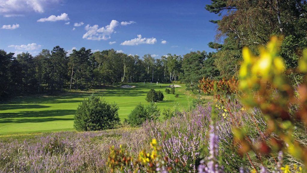 Golfplätze in Deutschland: Die Lieblinge der Redaktion! - GOLF MAGAZIN