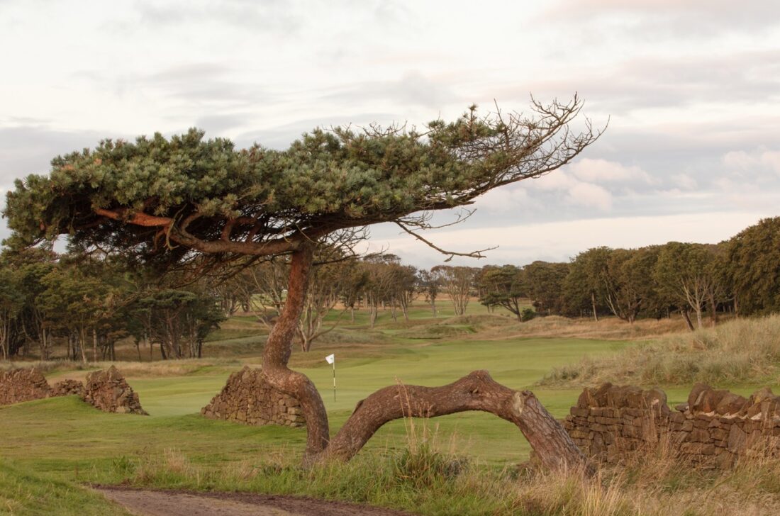 The Renaissance Club: Zu Gast in Schottlands exklusivster Adresse ...