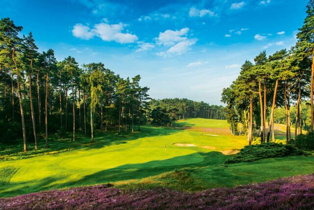 DGV-Turniere: Termine 2026 - GOLF MAGAZIN